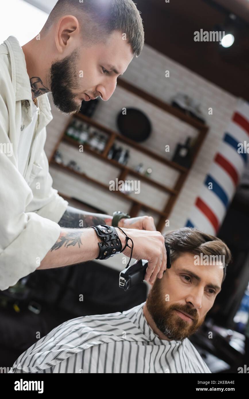 Barber trimming hair of brunette customer in barbershop,stock image ...