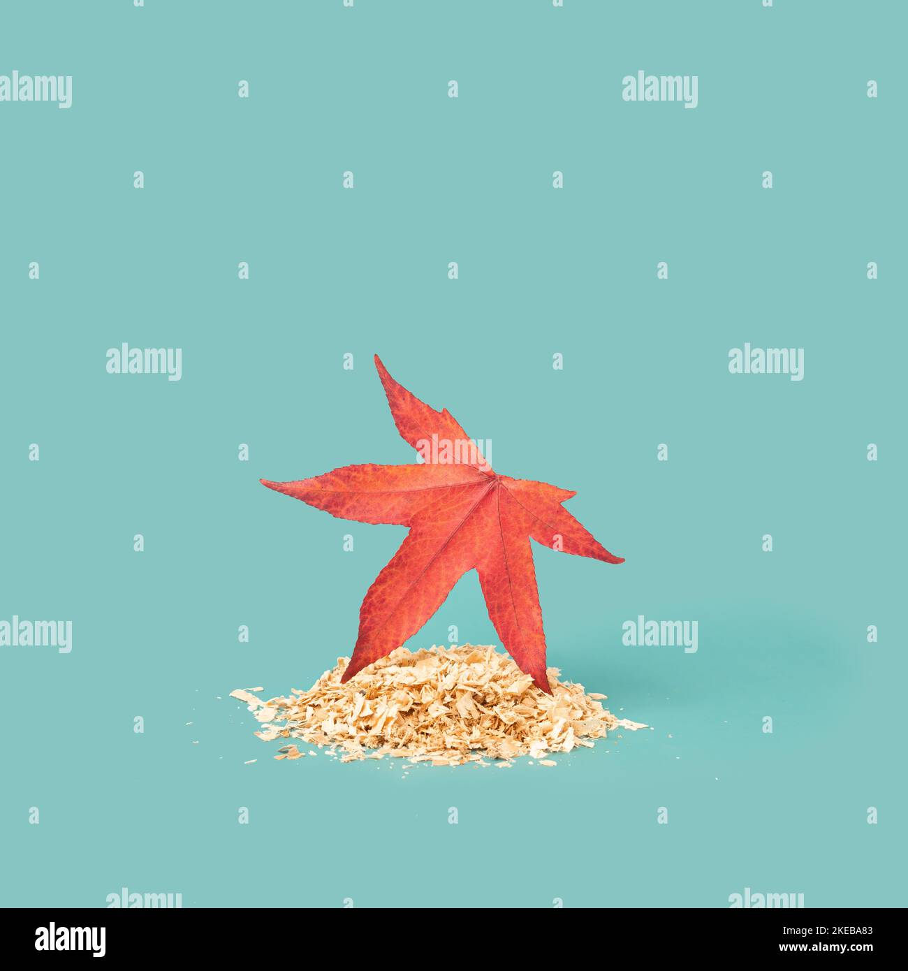 Dust floating hi-res stock photography and images - Alamy