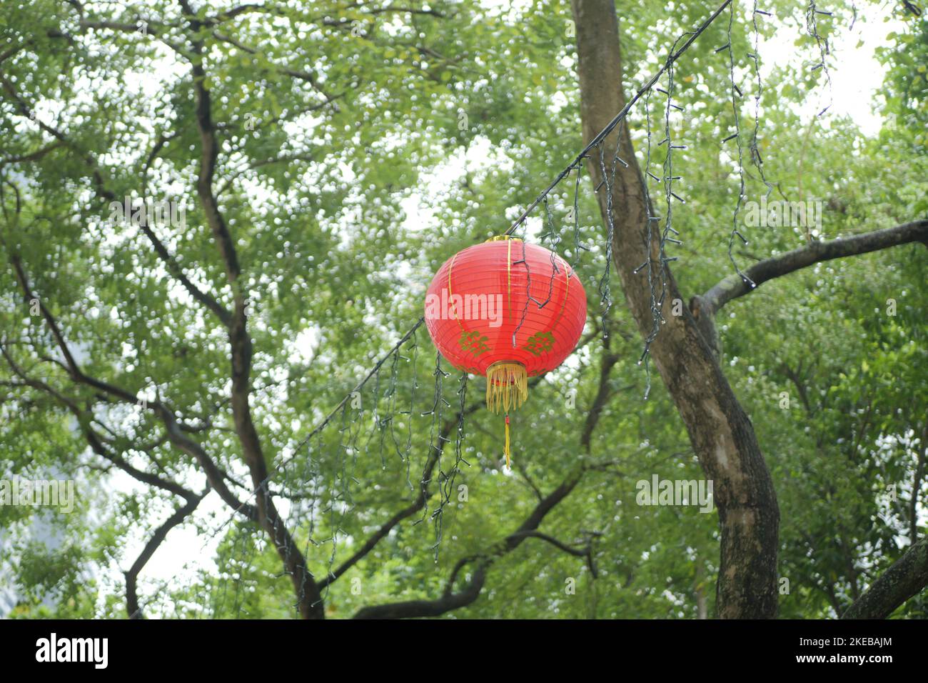 Chinese red lantern of Chinese New Year Stock Photo - Alamy