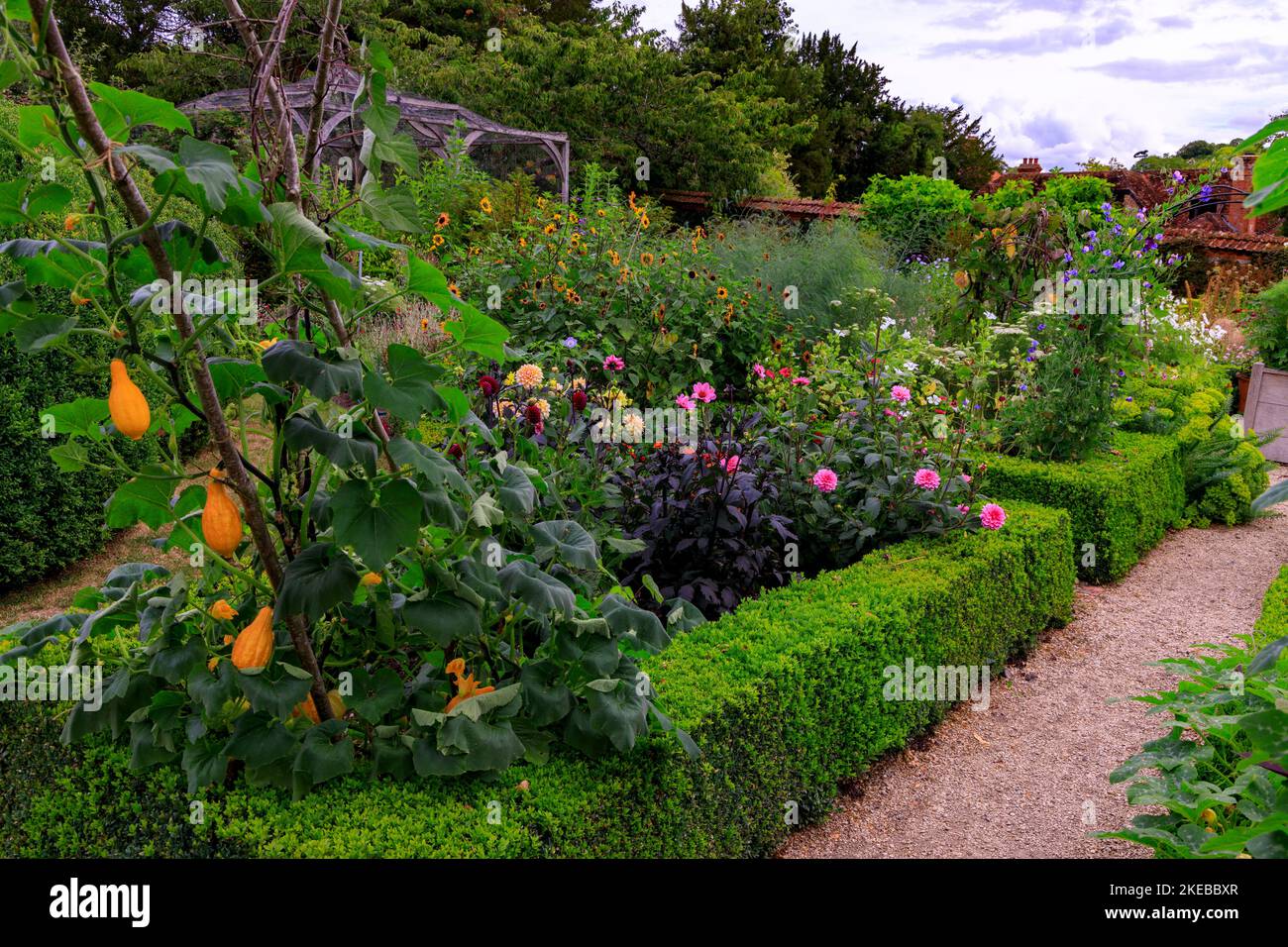 Colourful planting and crops in the walled garden at Heale House - a ...