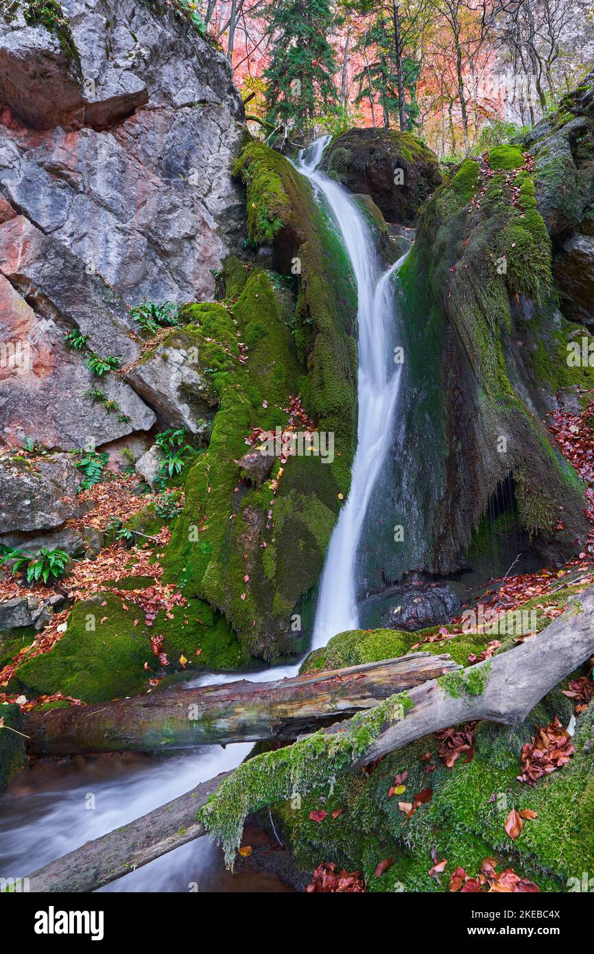 Waterfall in the afforested mountains in the late autumn Stock Photo ...