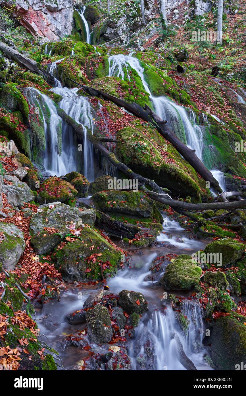 Waterfall in the afforested mountains in the late autumn Stock Photo ...