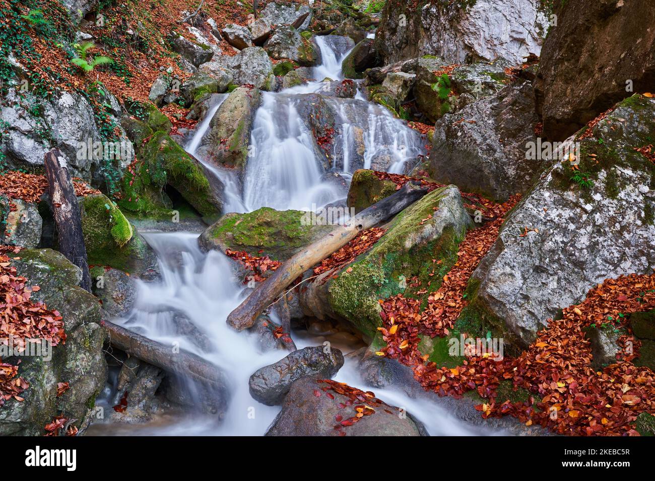 Waterfall in the afforested mountains in the late autumn Stock Photo ...