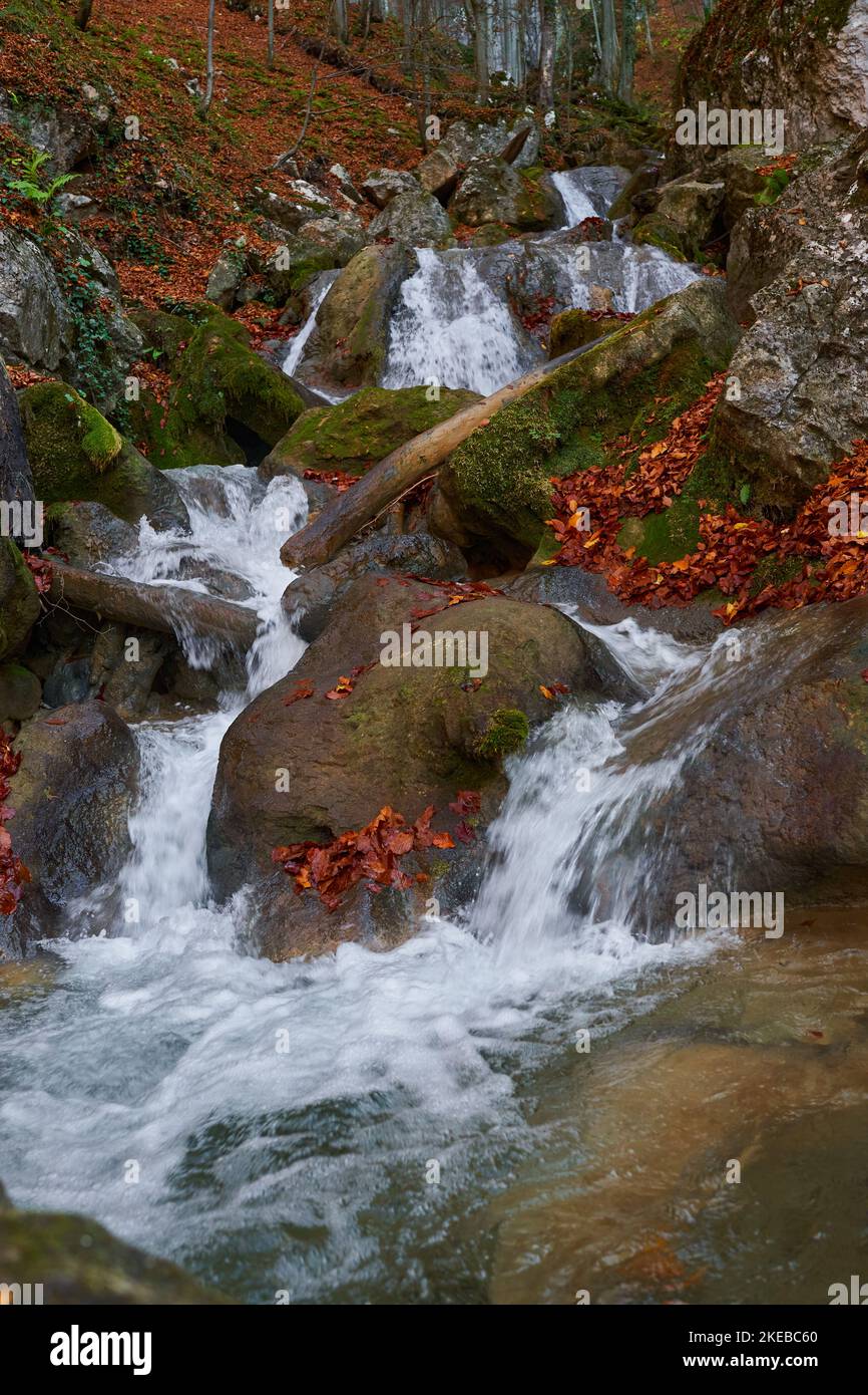 River rapids through a canyon in a mountain with lush vegetation Stock ...
