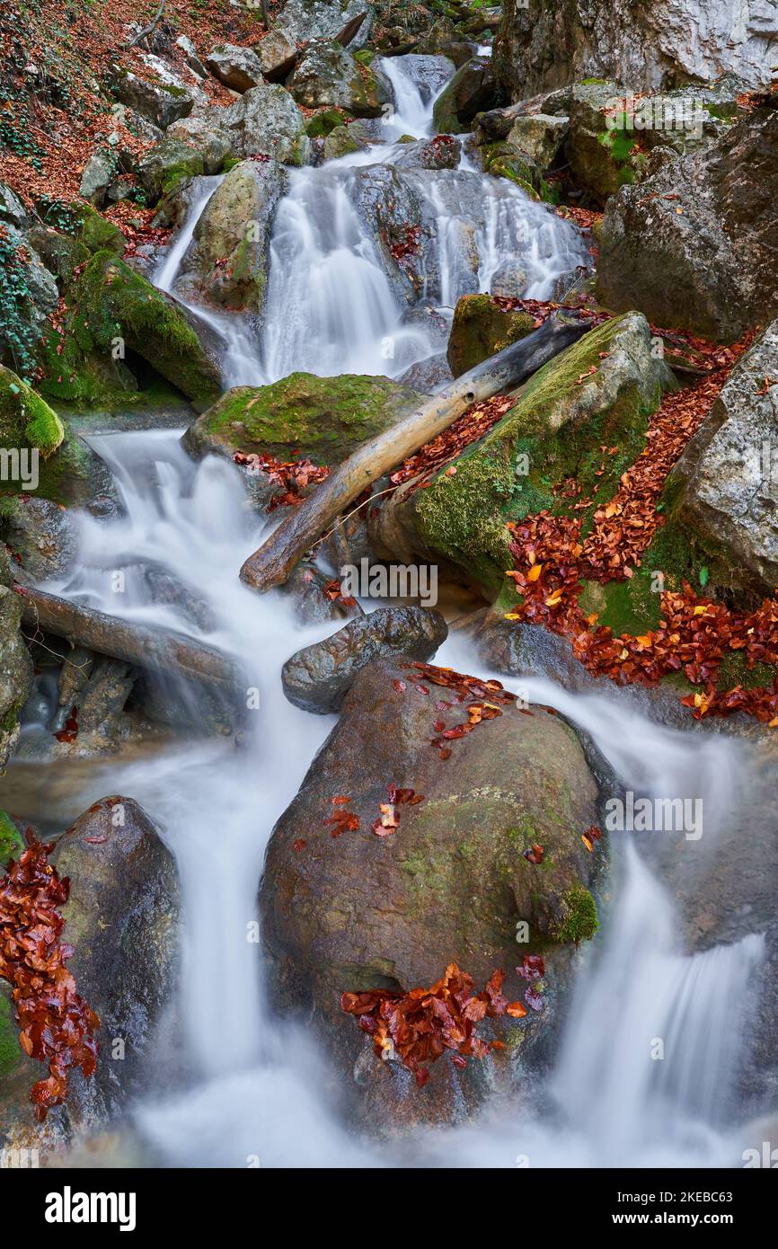 Waterfall in the afforested mountains in the late autumn Stock Photo ...