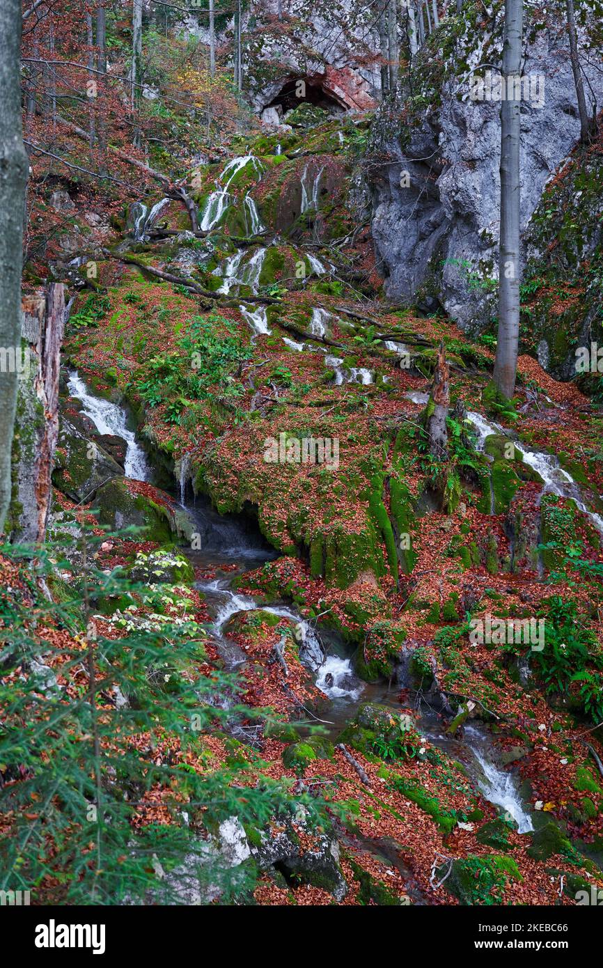 Waterfall in the afforested mountains in the late autumn Stock Photo ...