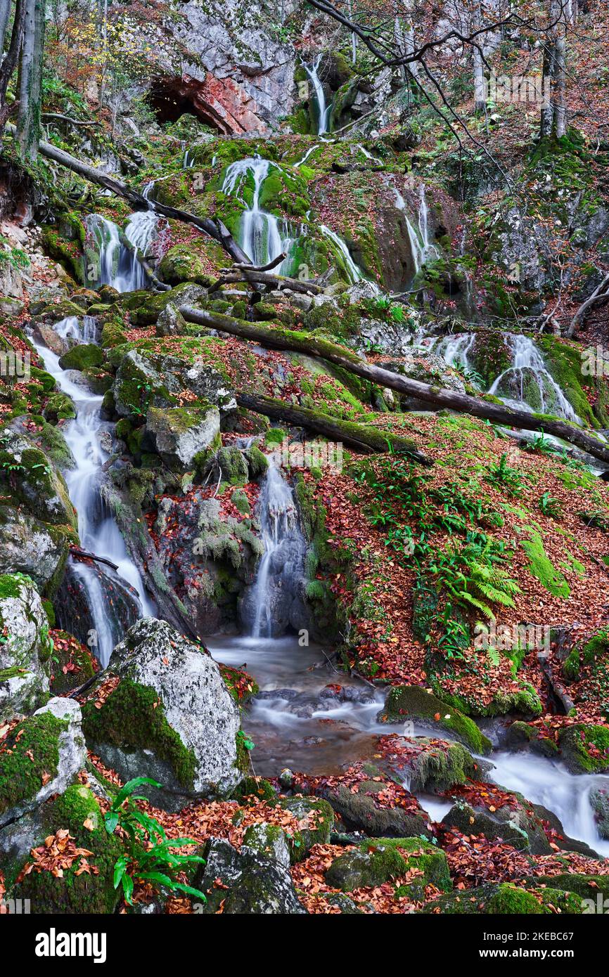 Waterfall in the afforested mountains in the late autumn Stock Photo ...