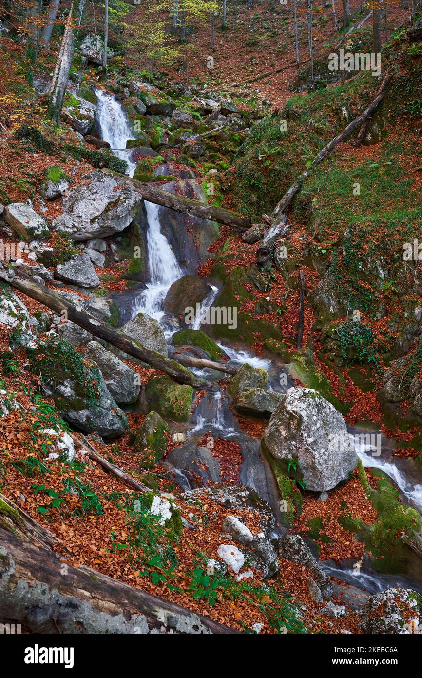 River rapids through a canyon in a mountain with lush vegetation Stock ...