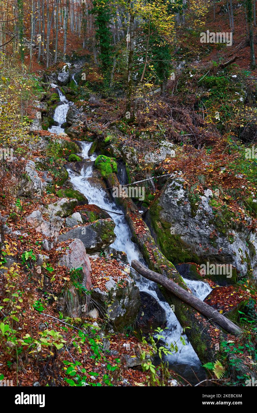 River rapids through a canyon in a mountain with lush vegetation Stock ...