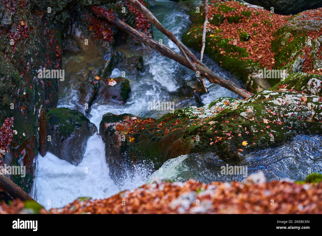 River rapids through a canyon in a mountain with lush vegetation Stock ...