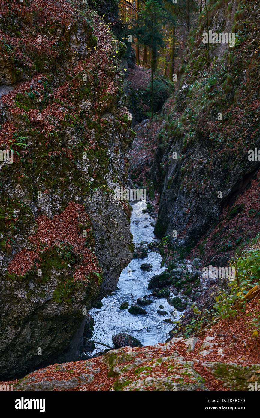 River rapids through a canyon in a mountain with lush vegetation Stock ...