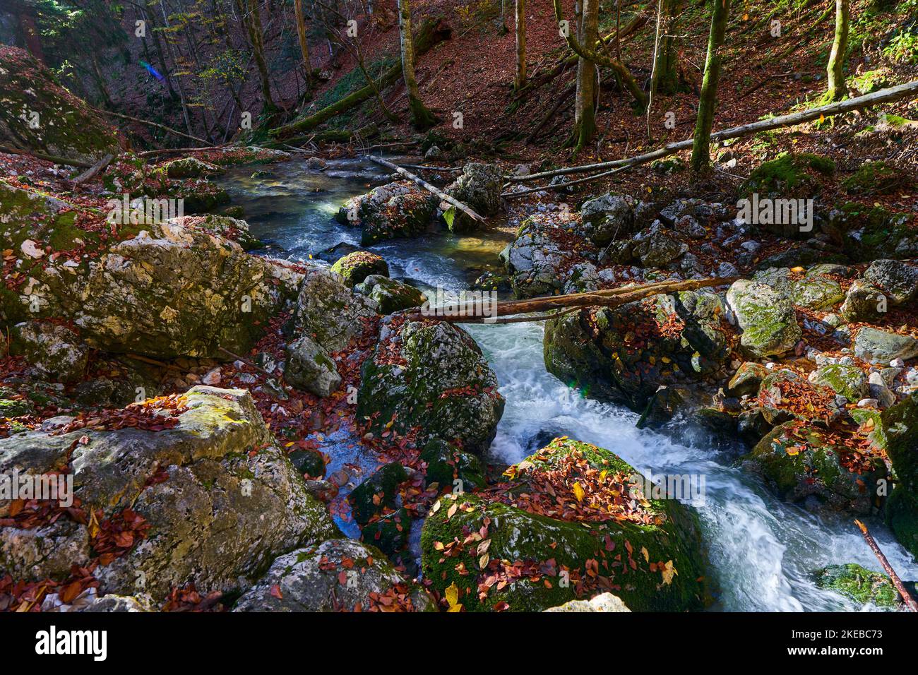 River rapids through a canyon in a mountain with lush vegetation Stock ...