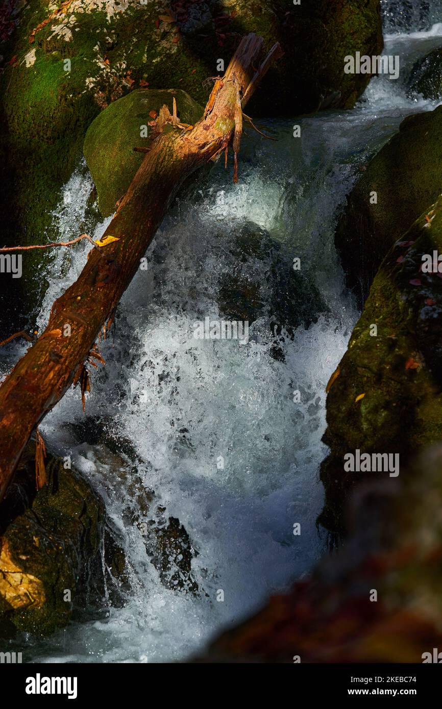 River rapids through a canyon in a mountain with lush vegetation Stock ...