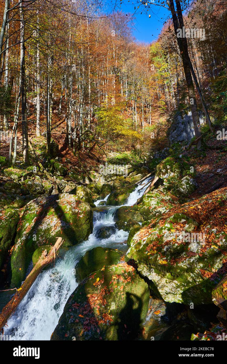 River rapids through a canyon in a mountain with lush vegetation Stock ...