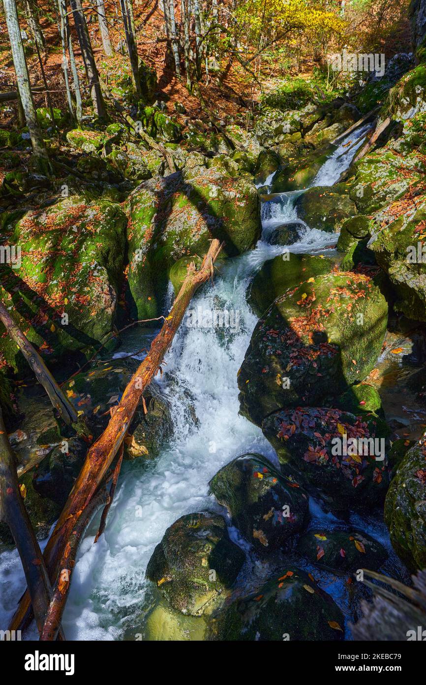 River rapids through a canyon in a mountain with lush vegetation Stock ...
