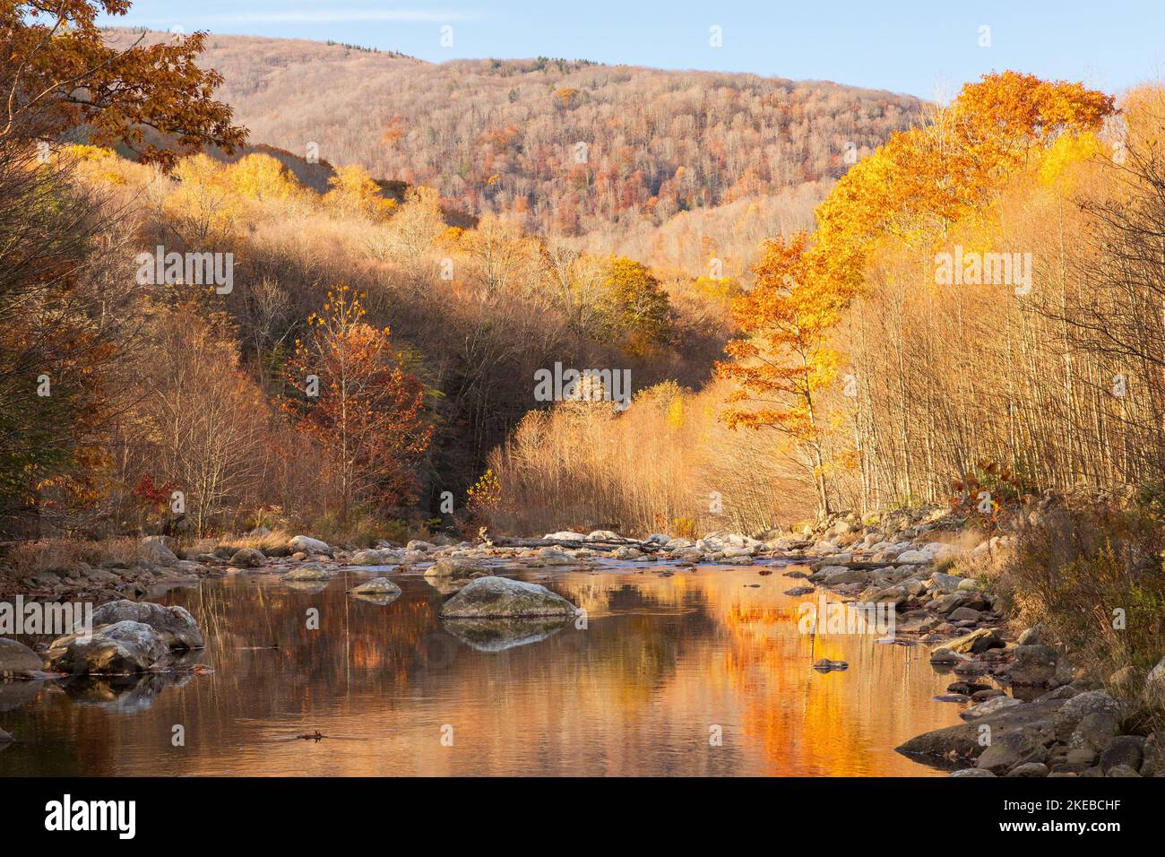 Creek and rapids in Dolly Sods Wilderness, West Virginia, surrounded by ...