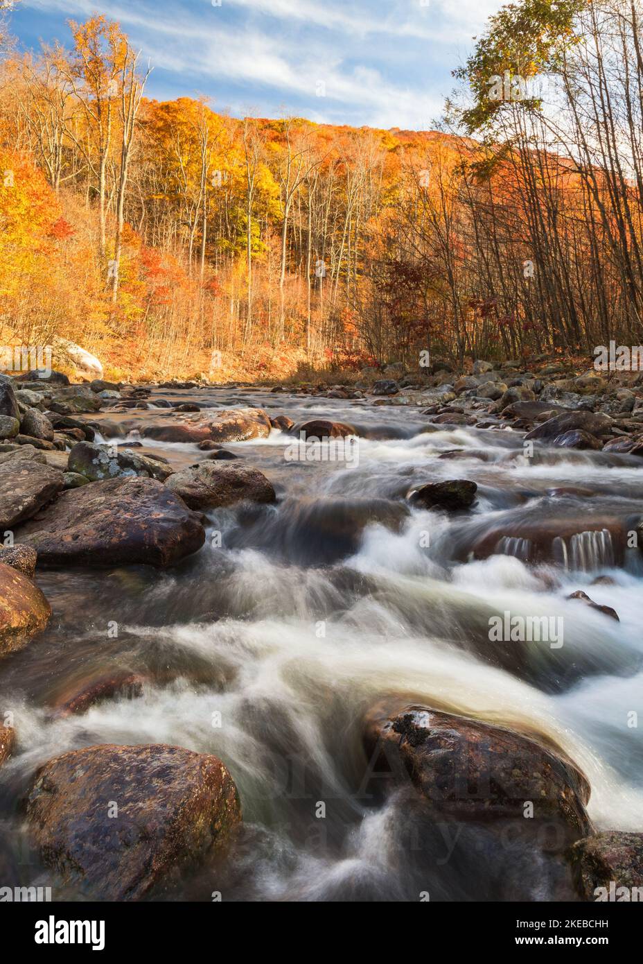 Creek and rapids in Dolly Sods Wilderness, West Virginia, surrounded by ...