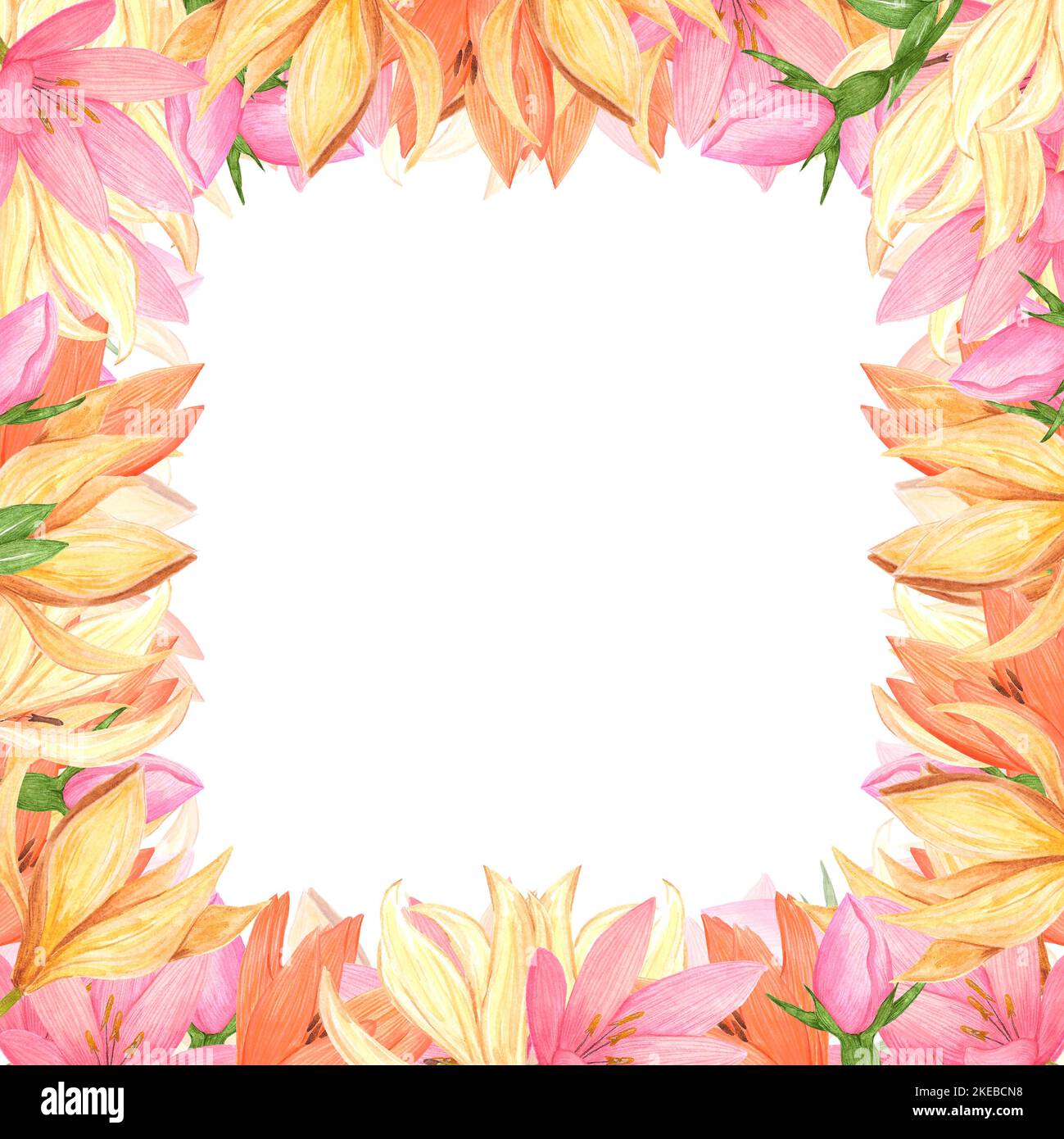 Handdrawn lily frame. Watercolor lily boarder on the white background ...