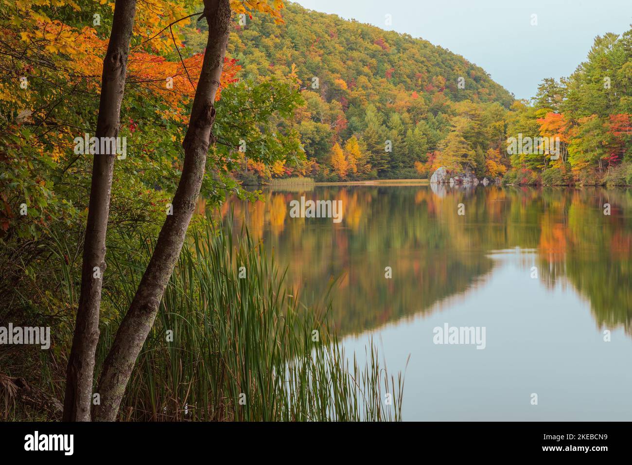 Fall scene with lush foliage on teh shore of Rockcliff Lake, West ...