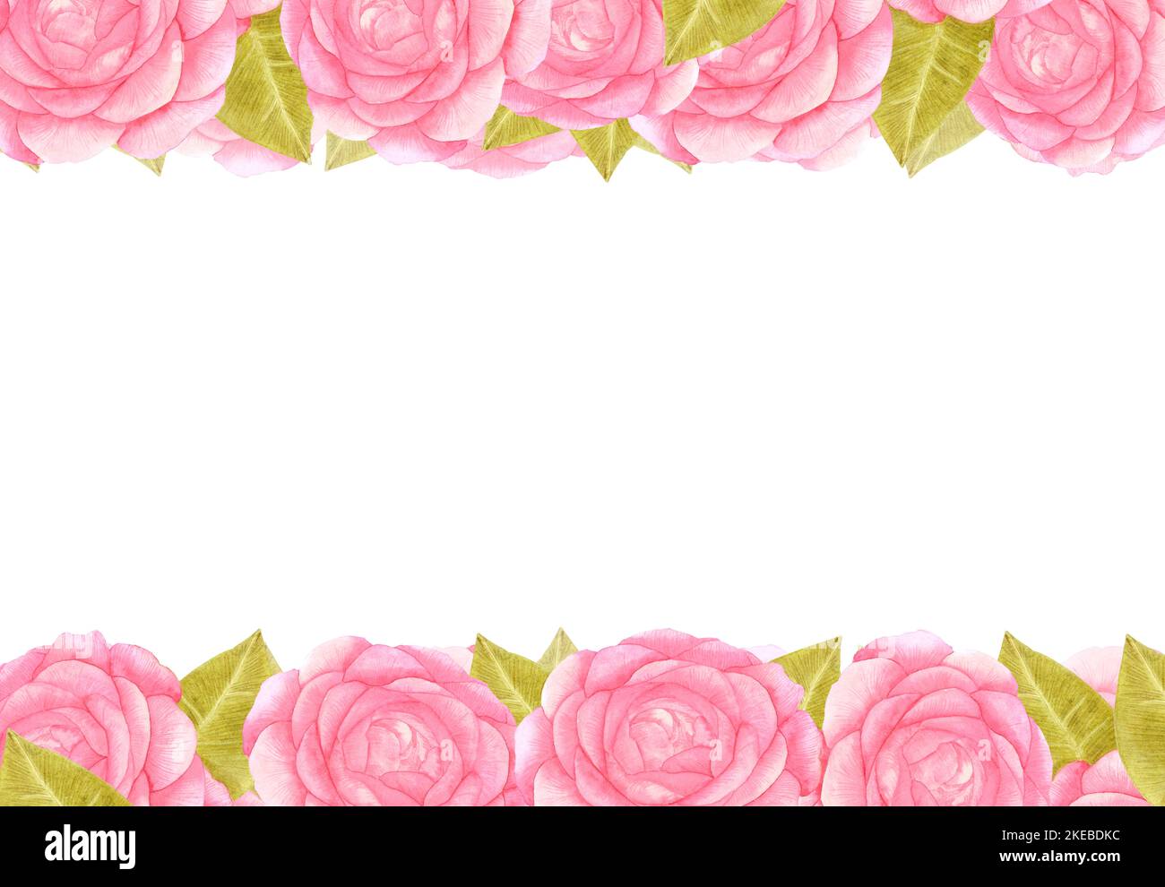 Handdrawn rose frame. Watercolor pink rose boarder on the white ...