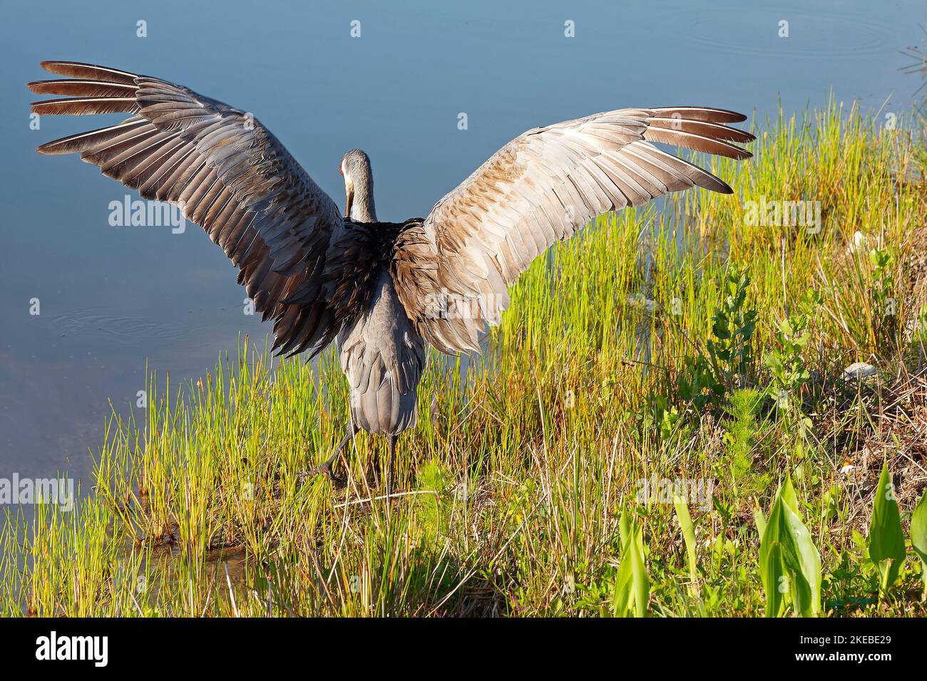 Partial motion hi-res stock photography and images - Alamy