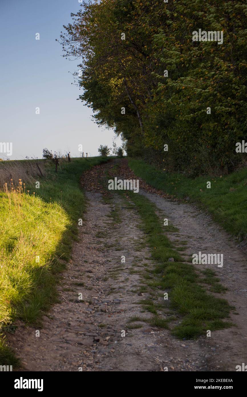 Chemindecampagne hi-res stock photography and images - Alamy