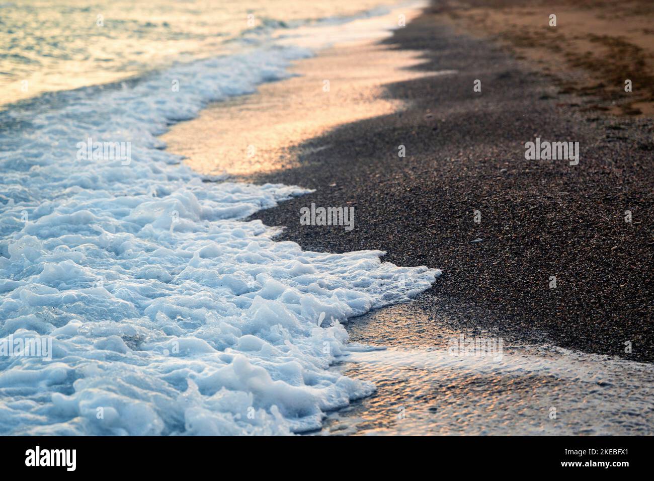 Frothy water reflecting colors of sunrise on beach with wet black tiny ...
