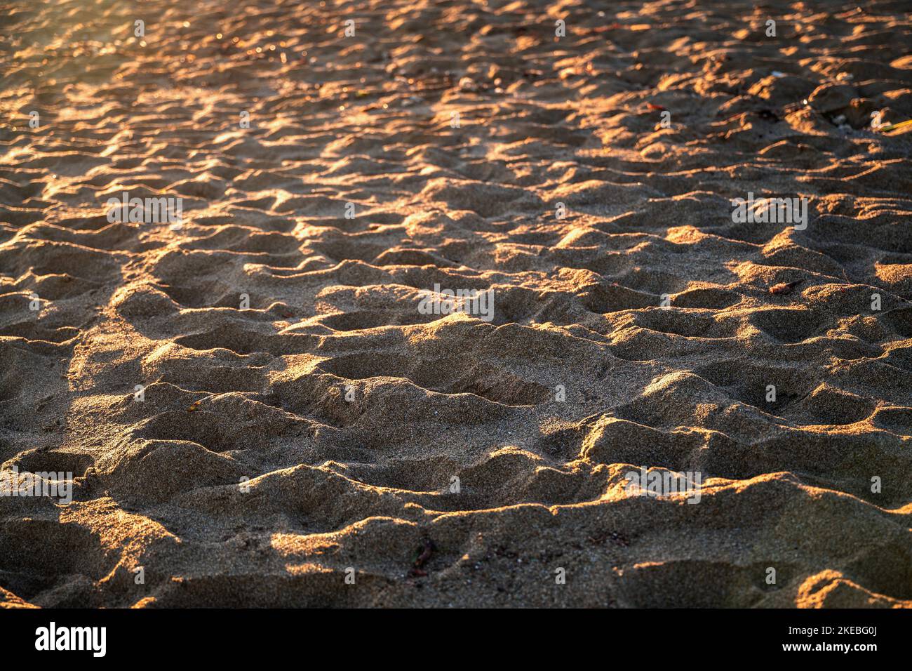 Rippled beach sand in warm sunrise illumination Stock Photo - Alamy