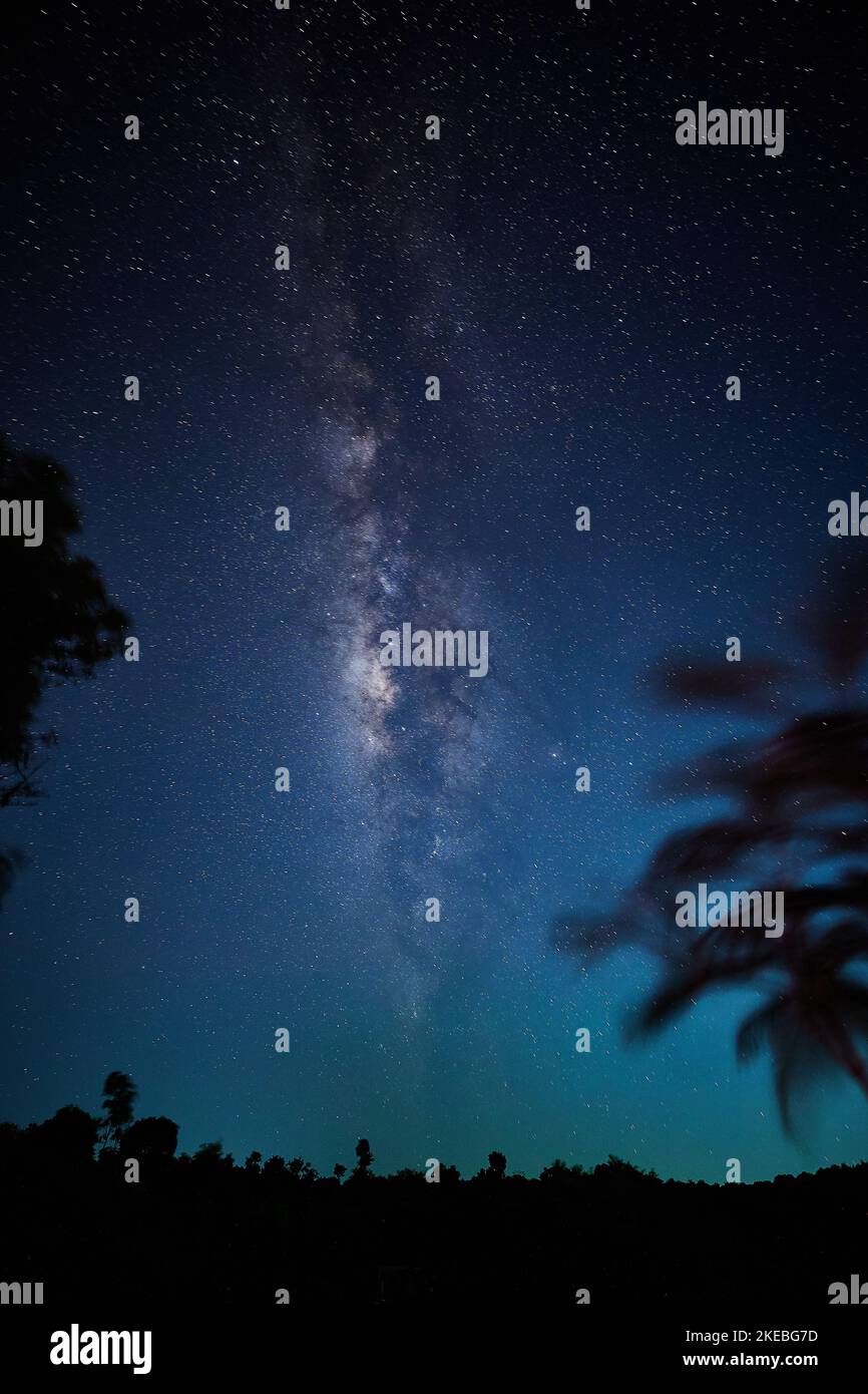 The mesmerizing starry night sky in a vertical shot - great for a ...