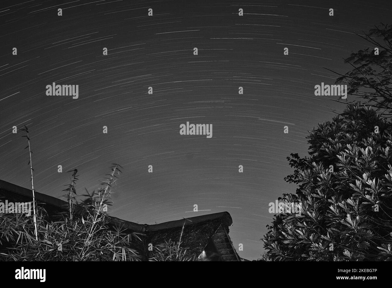 A grayscale of the mesmerizing starry night sky in a long exposure shot ...