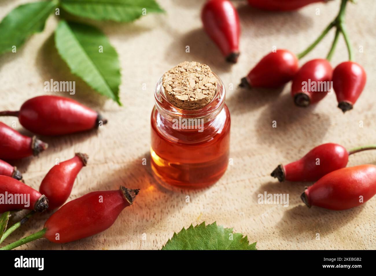 A transparent bottle of red rose hip seed oil with fresh berries and ...