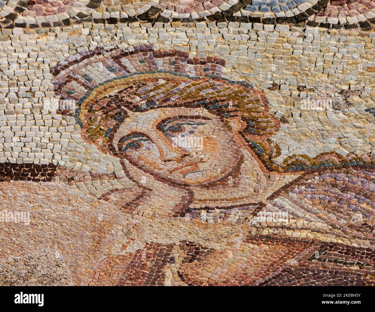 House of Aion, Paphos: Section of Mosaic floor depicted in a medallion ...