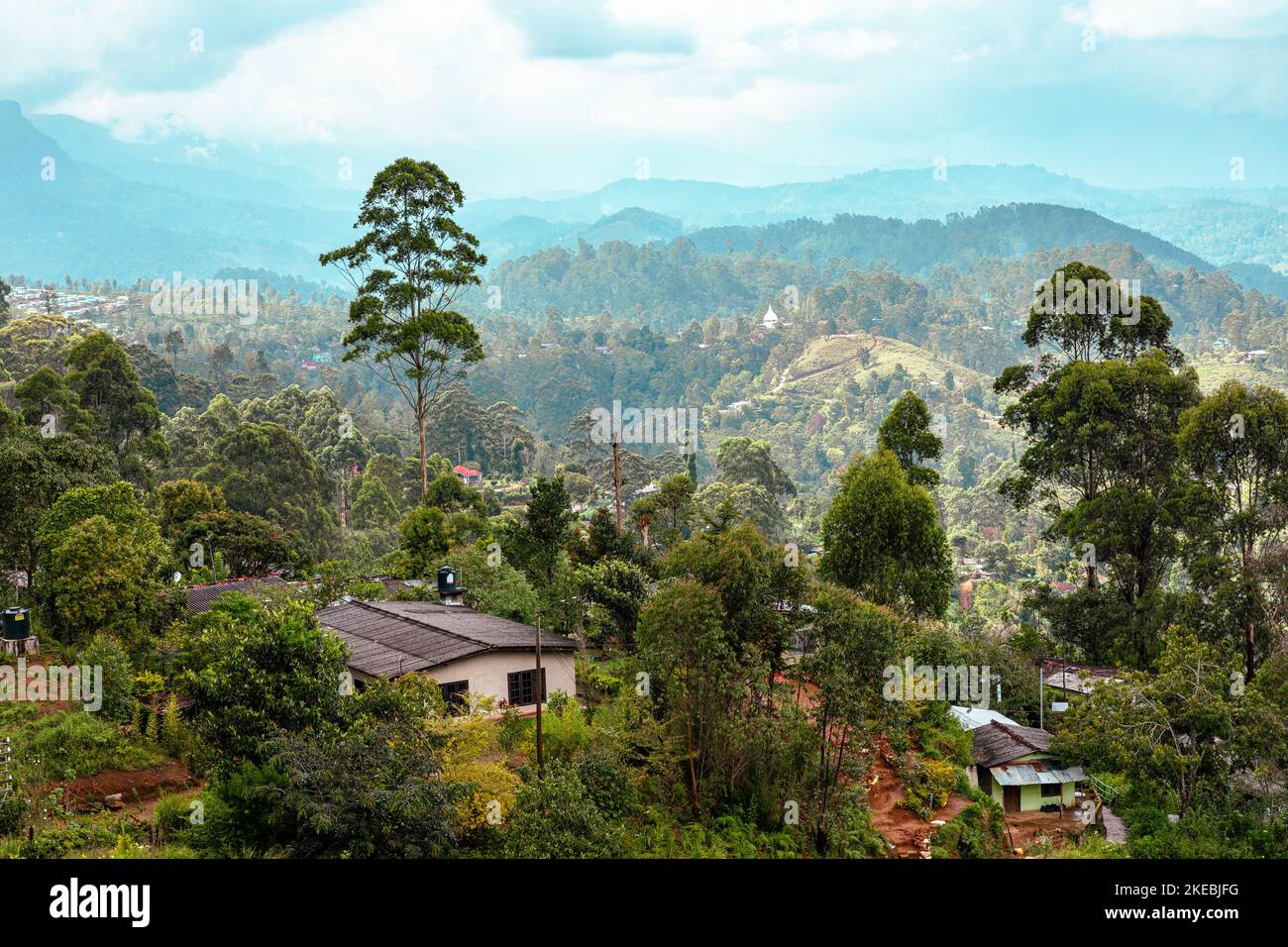 Sri Lanka Tea Plantation. Green Fields. Haputale, Sri Lanka Stock Photo ...