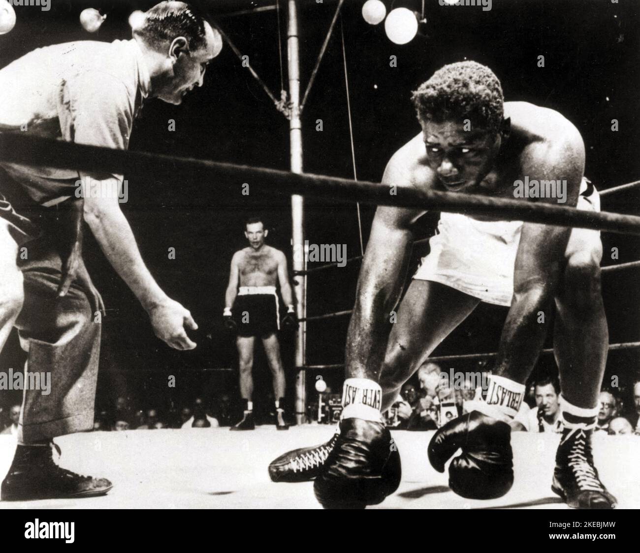 Swedish boxer hi-res stock photography and images - Alamy