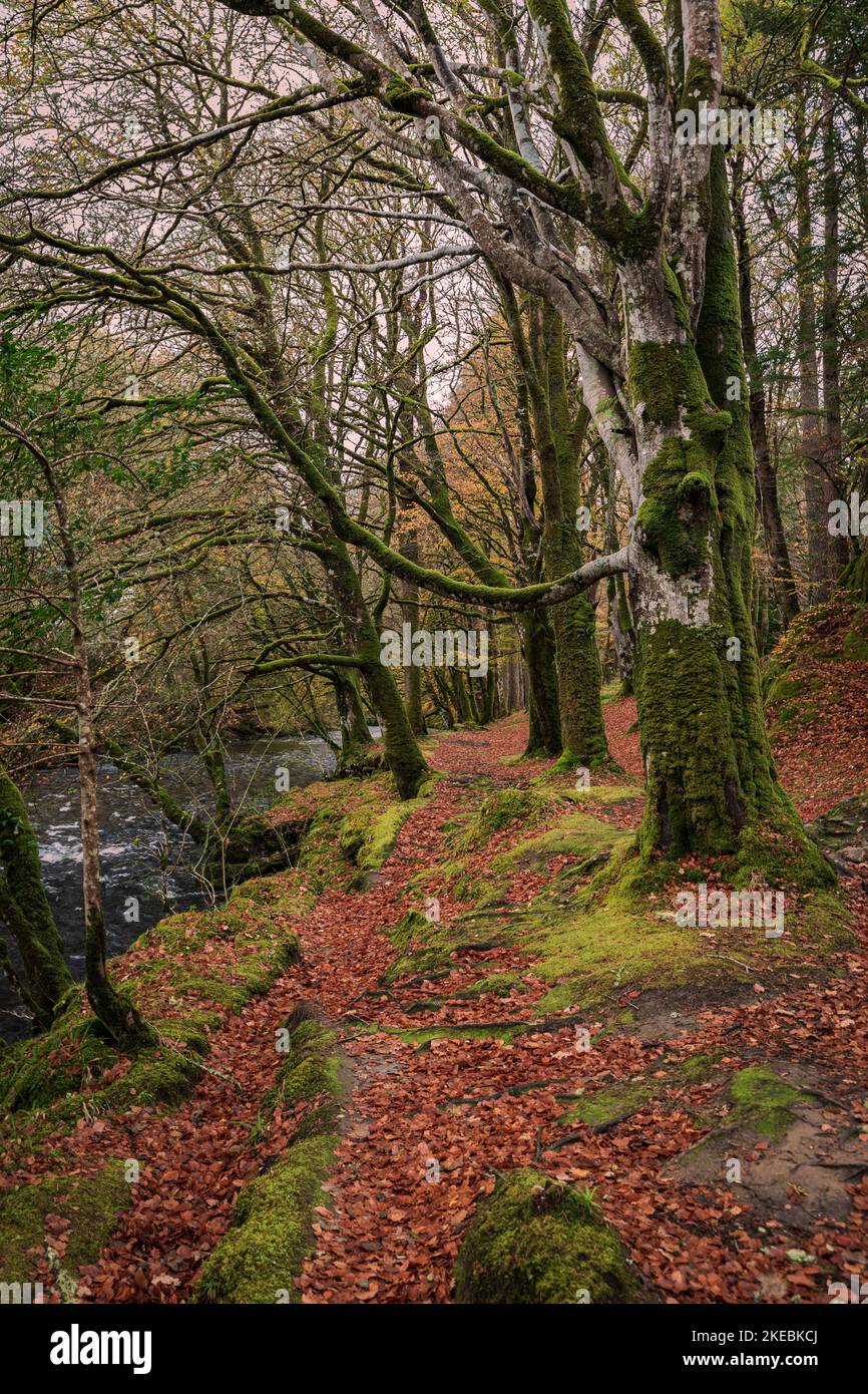 No people autumn hi-res stock photography and images - Alamy