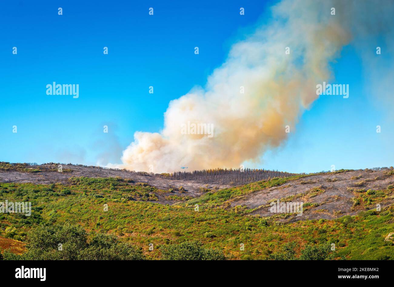 Intervention sur le lieu d'un incendie de forêt,Occitanie,France Stock ...