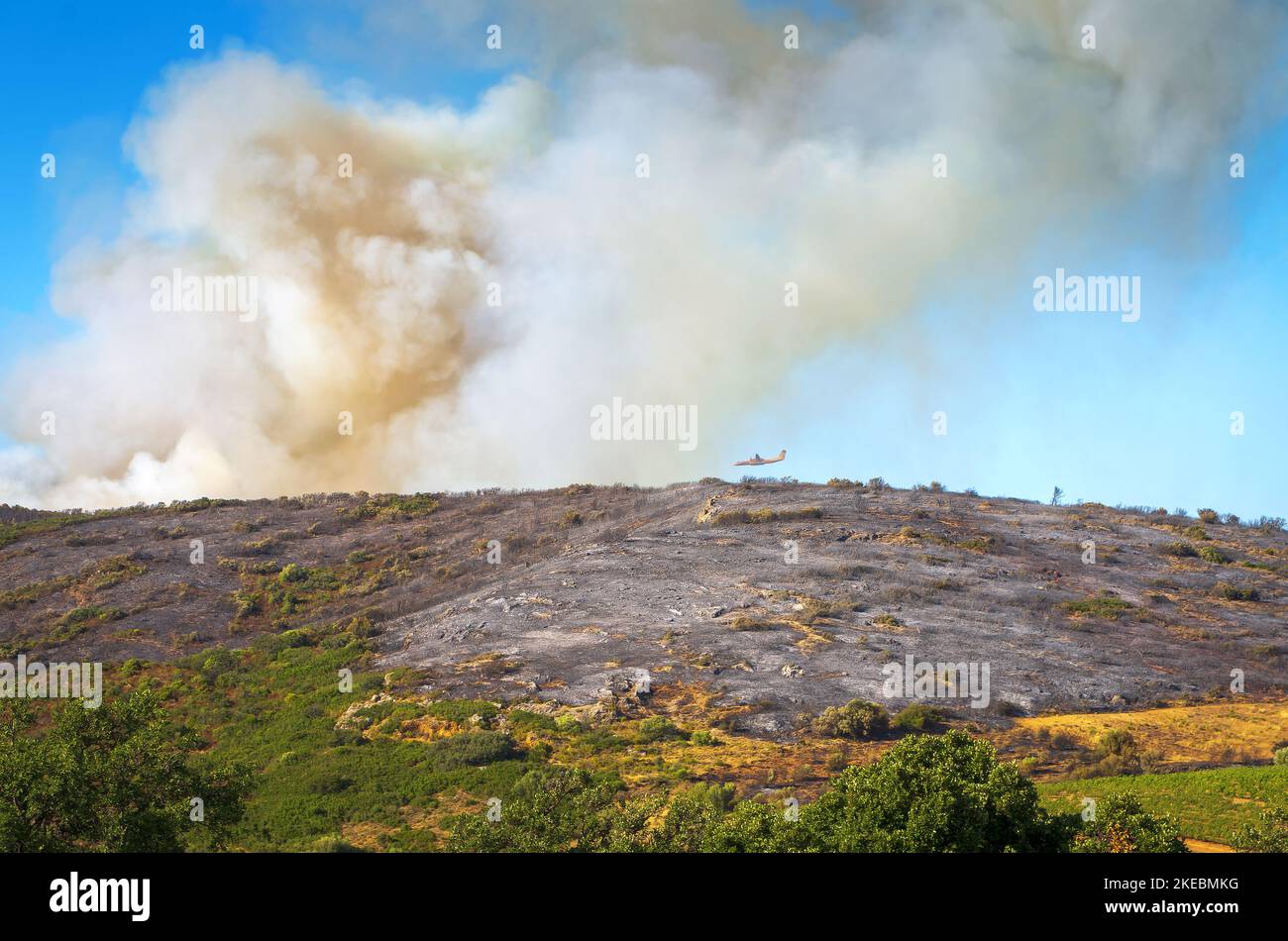 Intervention sur le lieu d'un incendie de forêt,Occitanie,France Stock ...