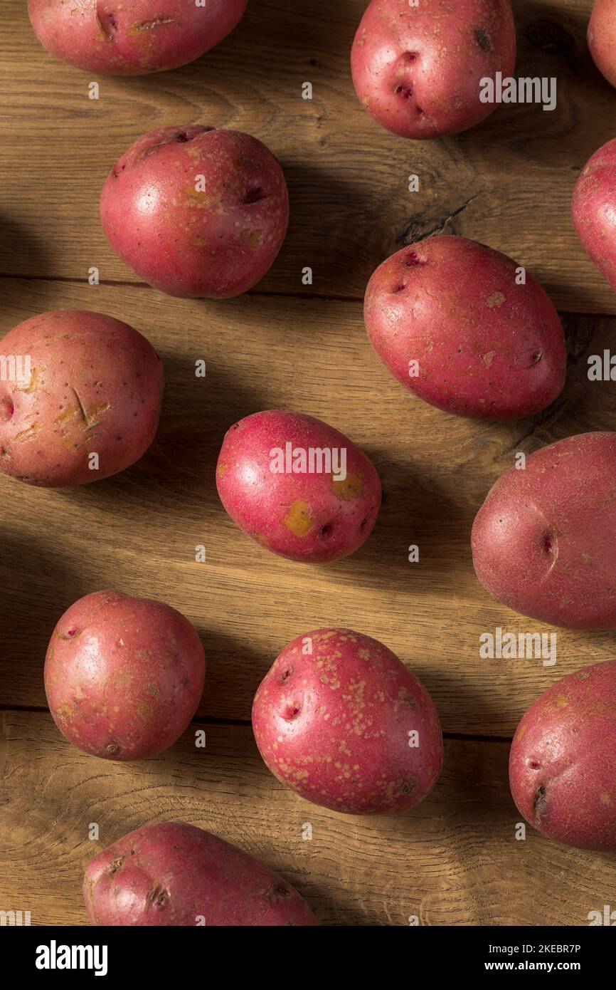 Raw Red Organic Potatoes in a Bunch Stock Photo - Alamy