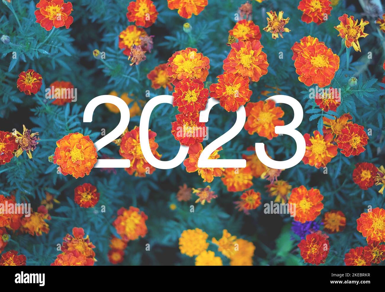 2023 typography hi-res stock photography and images - Alamy