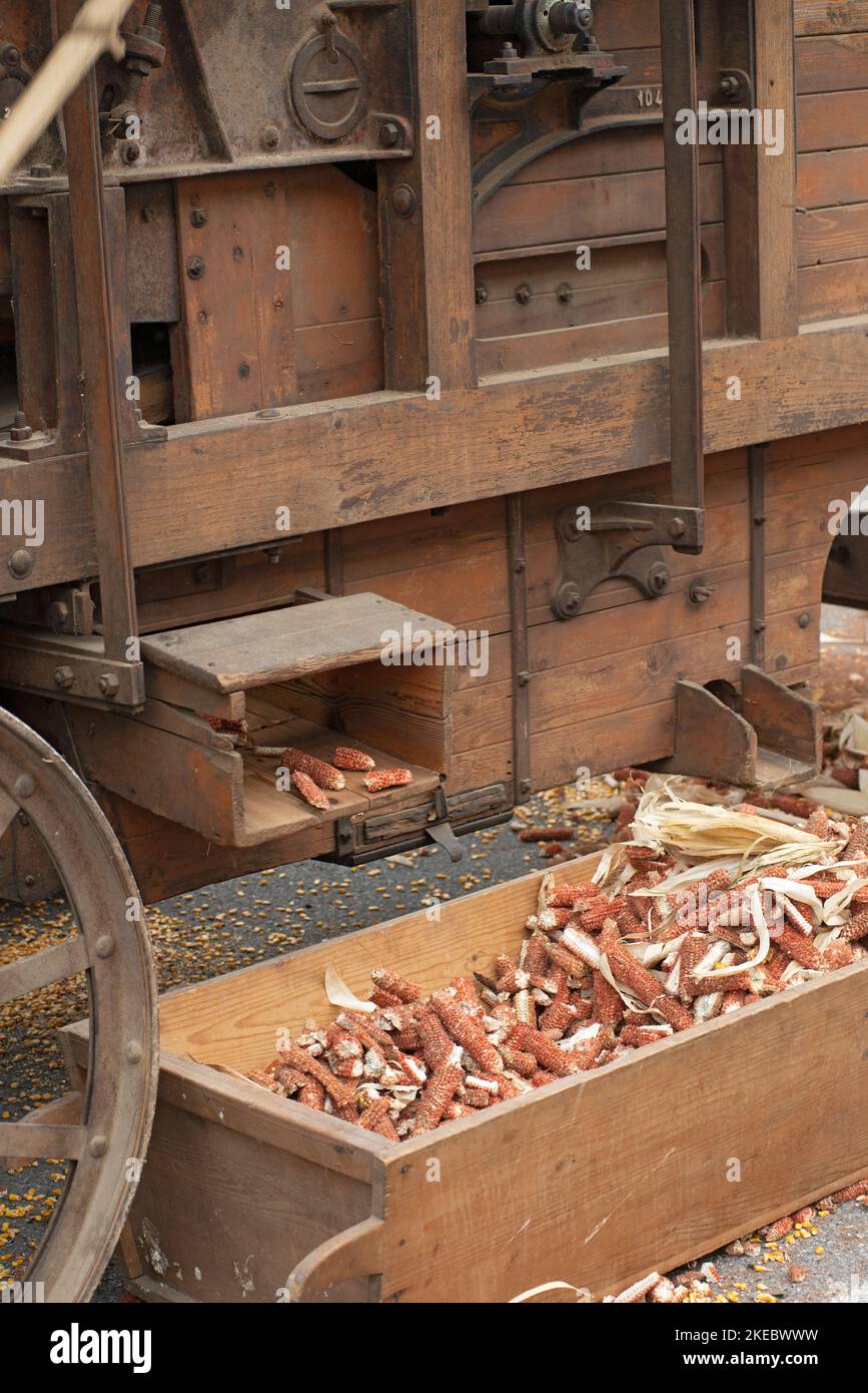 Maize shelling machine hi-res stock photography and images - Alamy