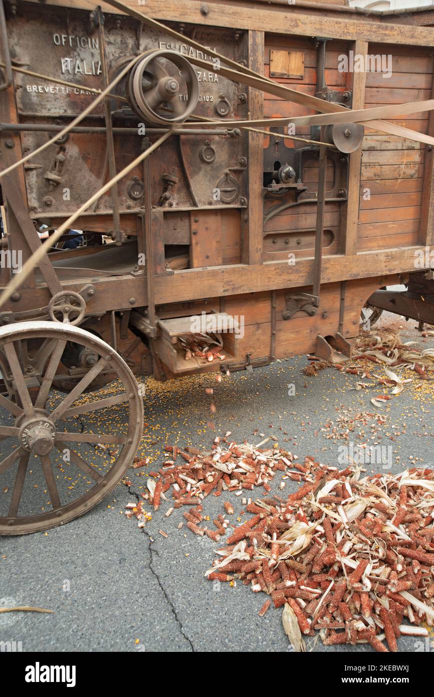 Italy, Lombardy, Historical Reenactment Farmer, Old Corn Shucking ...