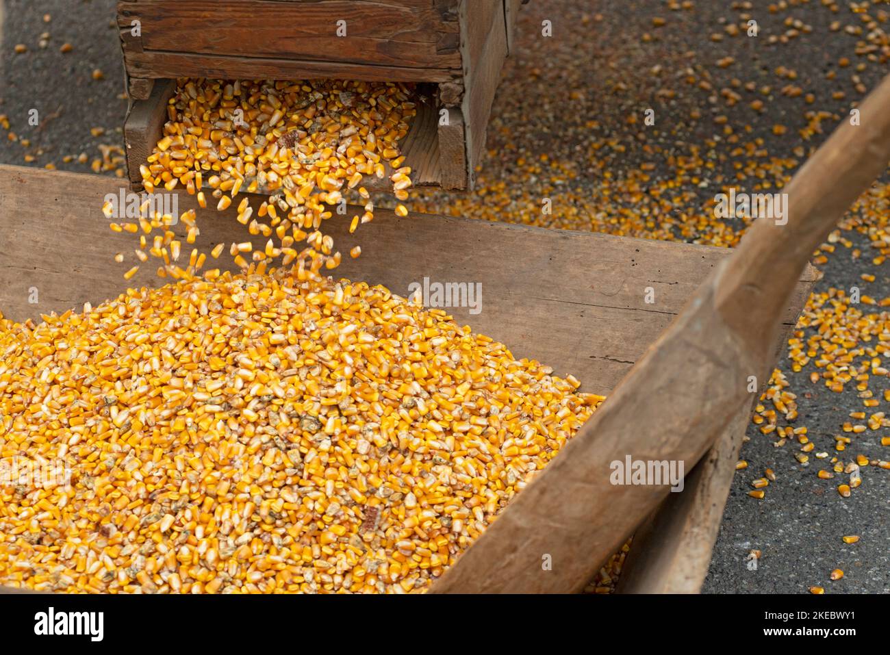 Maize shelling machine hi-res stock photography and images - Alamy