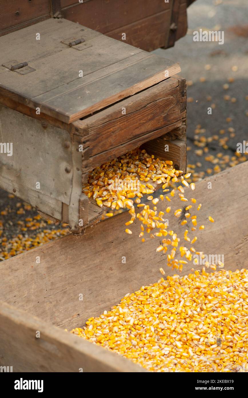 Maize shelling machine hi-res stock photography and images - Alamy
