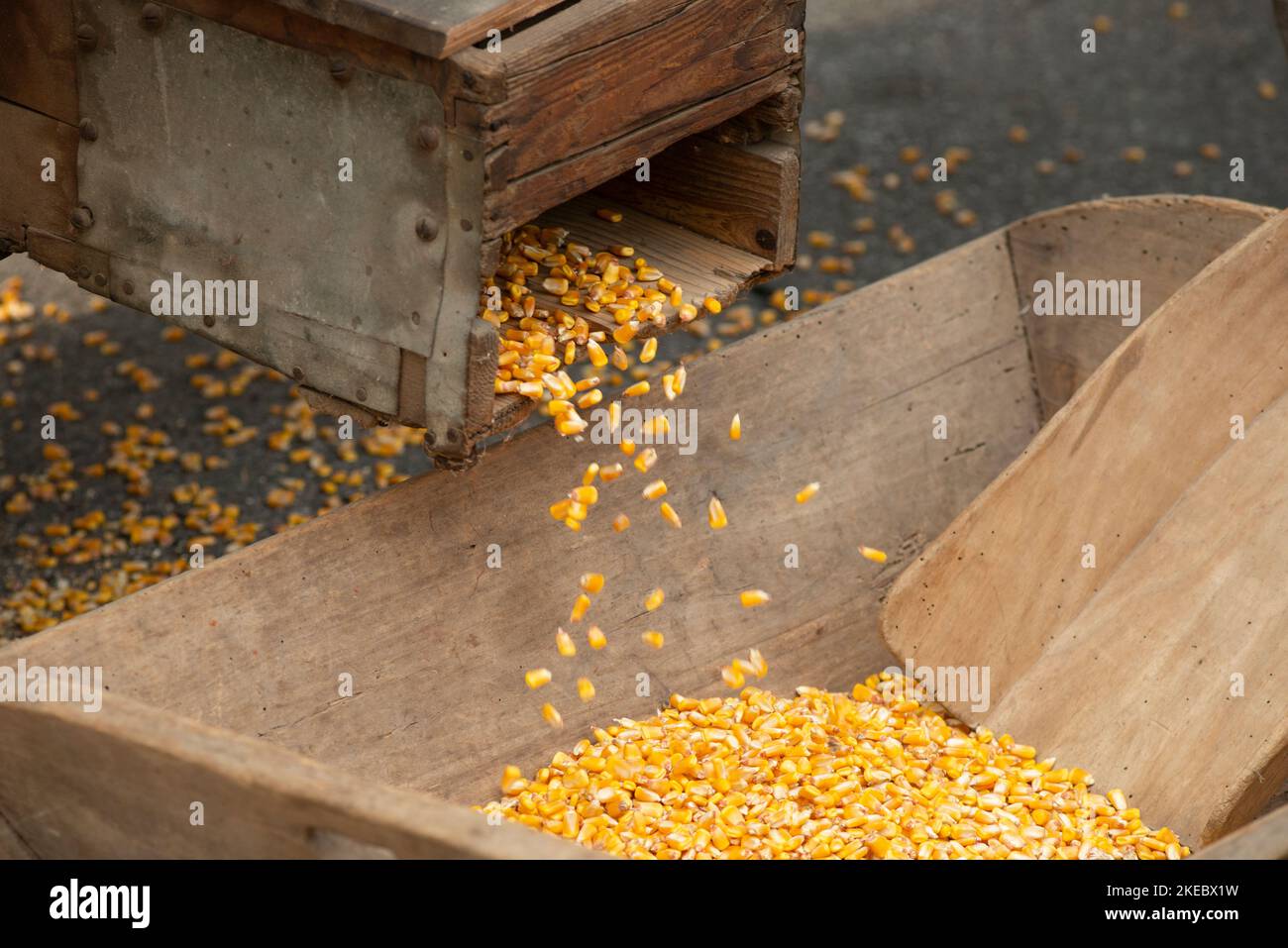 Maize shelling machine hi-res stock photography and images - Alamy