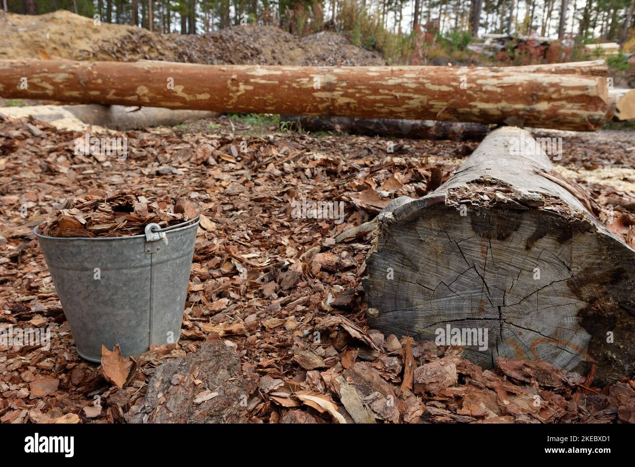 close-up of woodworking waste in the construction industry, the remains ...