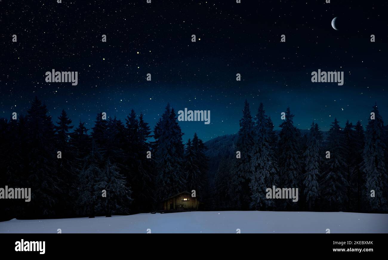 Woodland night winter hi-res stock photography and images - Alamy