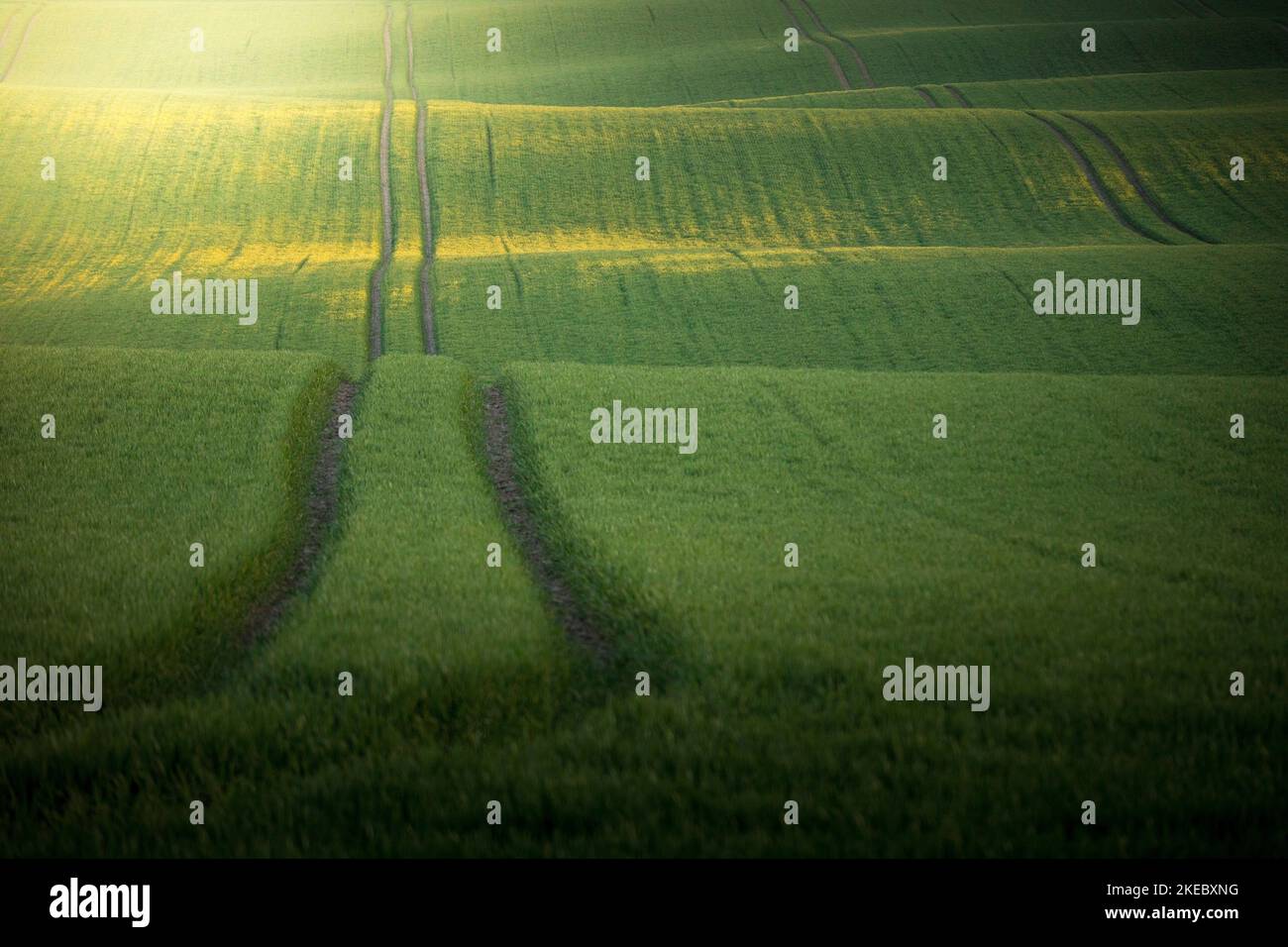 hilly landscape, field, lane Stock Photo - Alamy