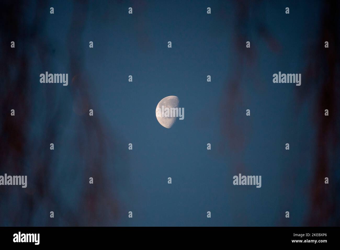 The moon and nature hi-res stock photography and images - Alamy