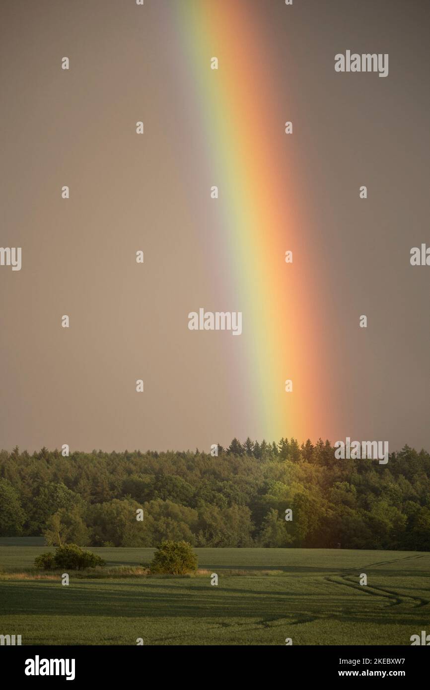 Rainbow over forest and field hi-res stock photography and images - Alamy