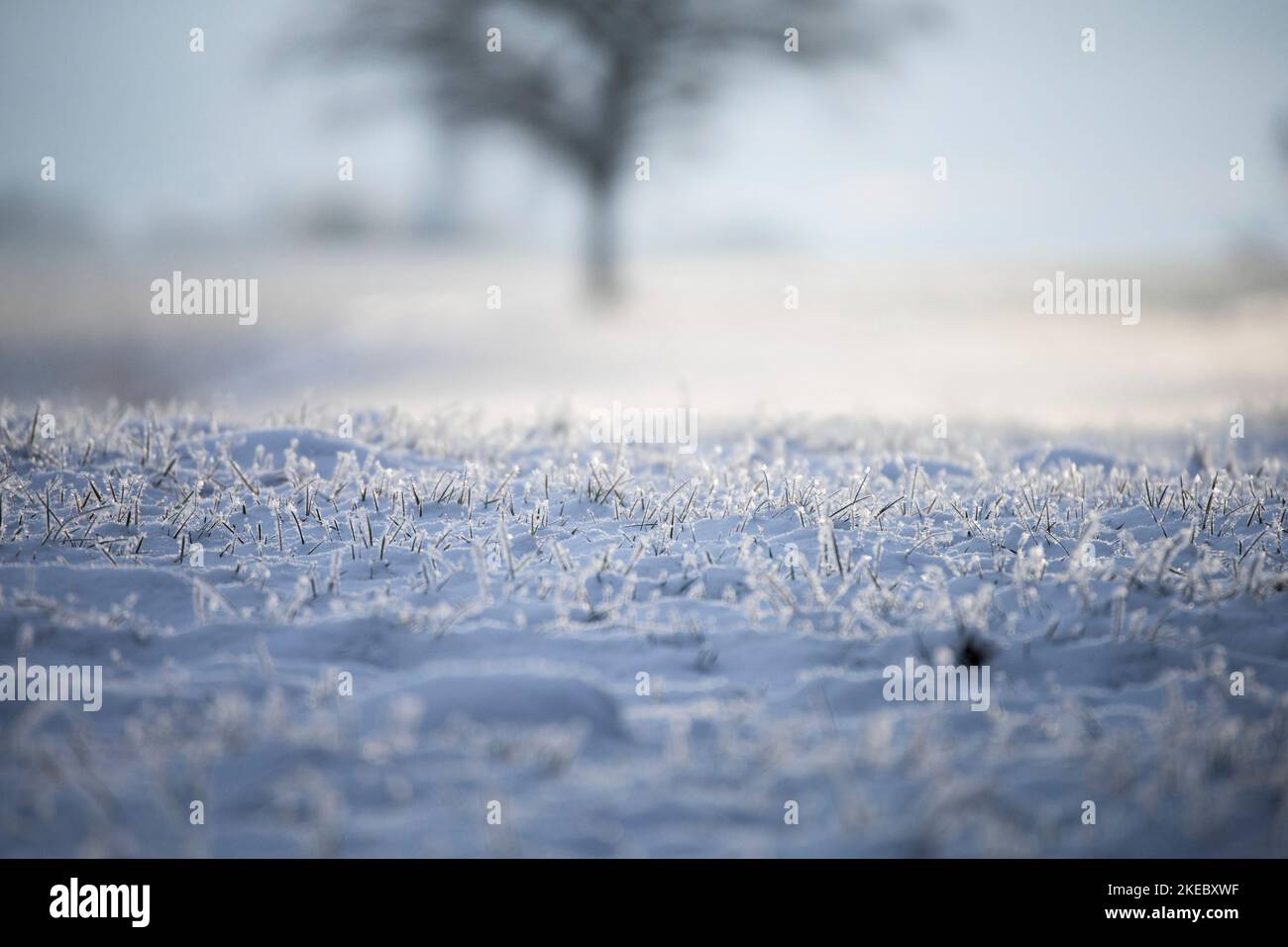 Frost on field hi-res stock photography and images - Alamy